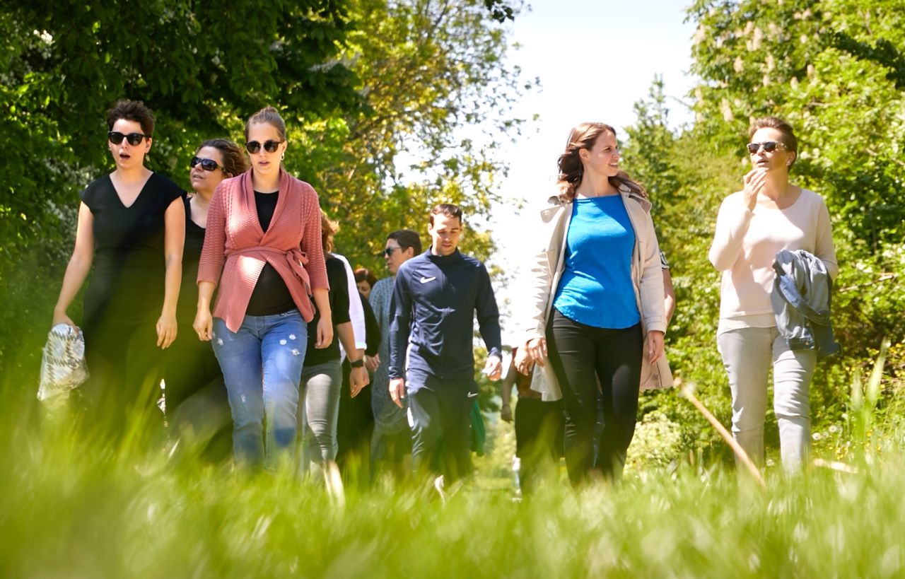 CO2-uitstoot verminderen: analyseren, reduceren en capteren | Colruyt Group